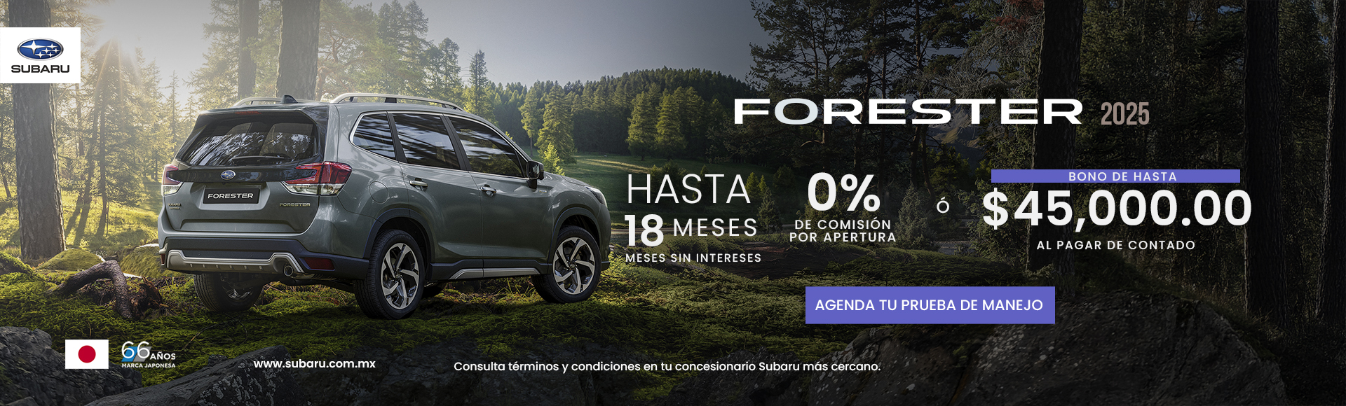 Distribuidor Autorizado, Subaru Lomas Verdes